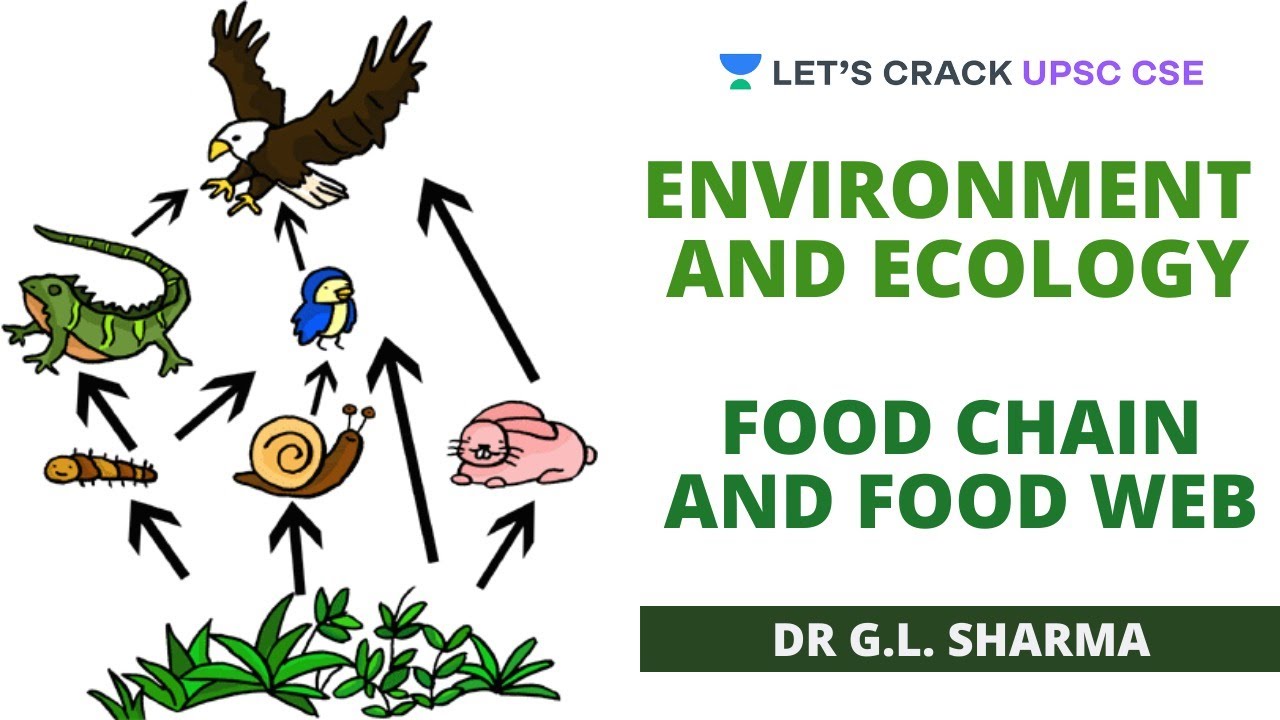 Food Chain and Food Web - Ecology and Environmment | Crack UPSC CSE/IAS ...