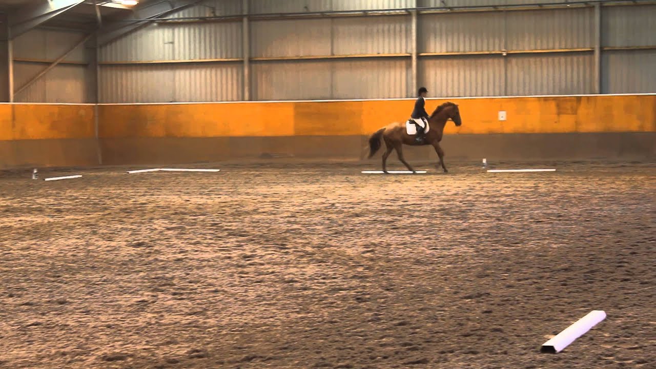 BD Dressage Prelim 7 - YouTube