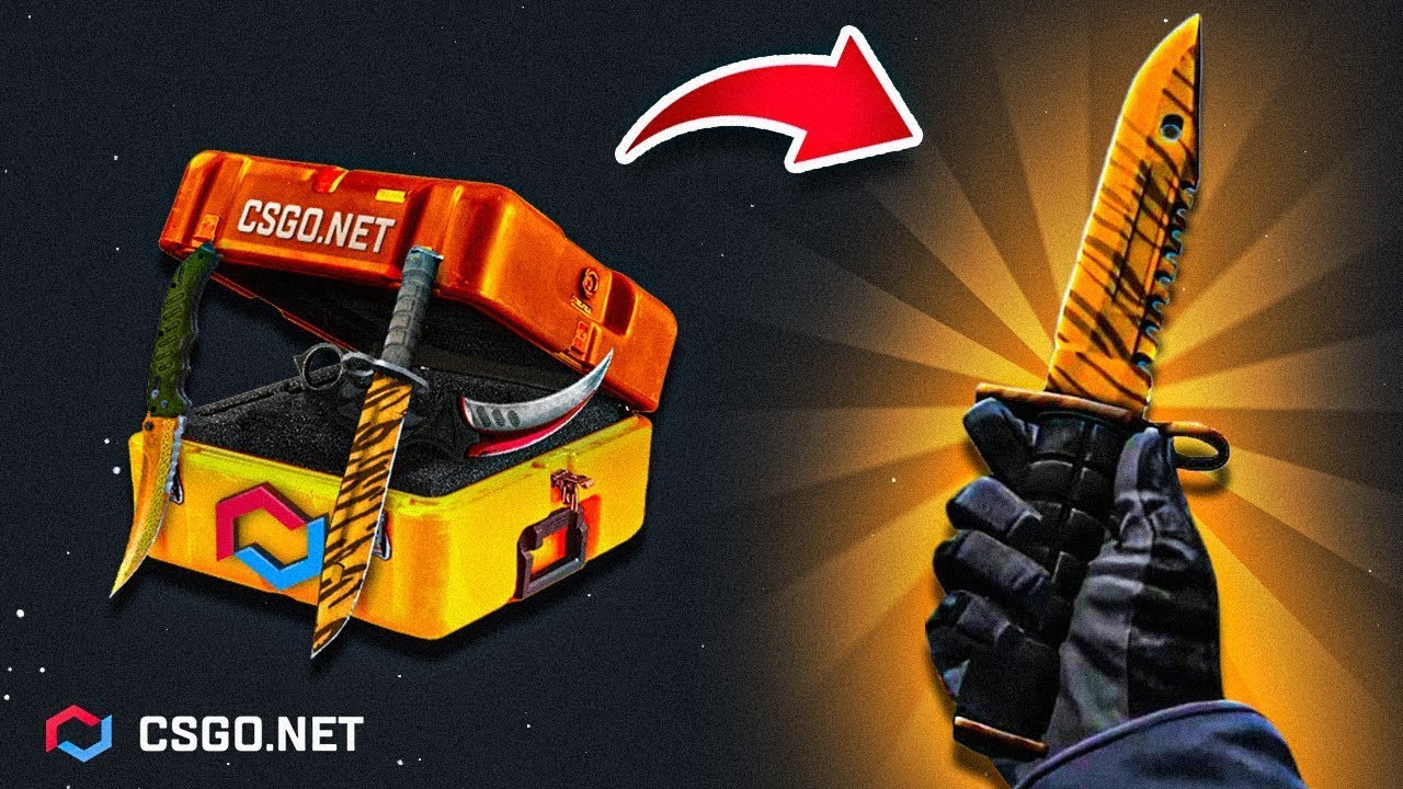 OPENING THE MOST RISKY CASE ON CSGONET - YouTube