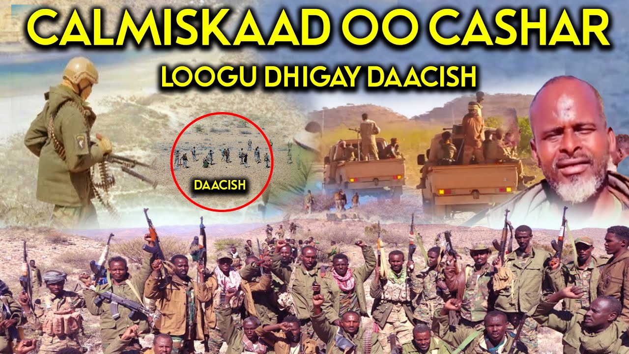 DEG DEG Calmiskaad oo Cashar kale loogu dhigay Daacish 10 Kun Askari oo ...