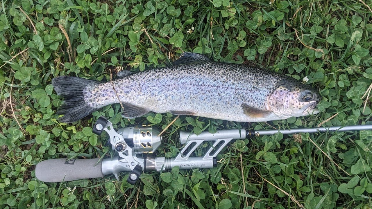 Summer Trout Fishing with the Profishiency pocket combo - YouTube