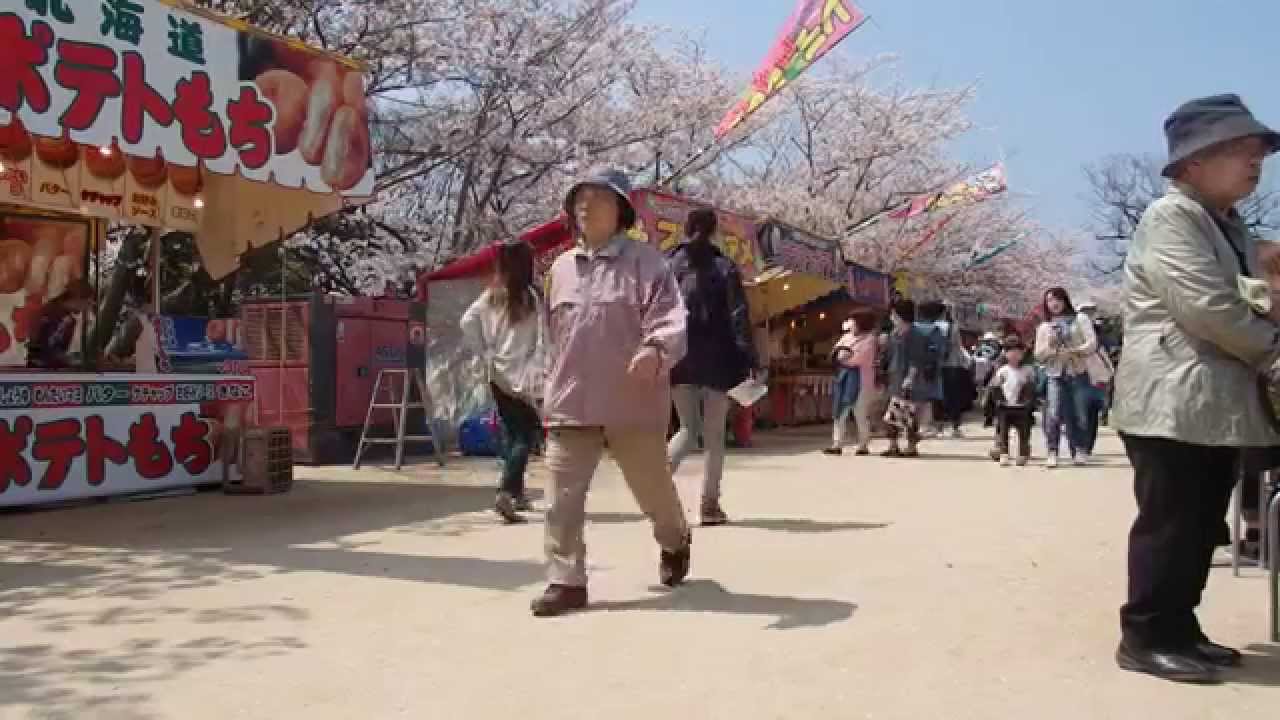 Hanami Food Stalls under the Cherry Blossoms - Walks in Japan - YouTube