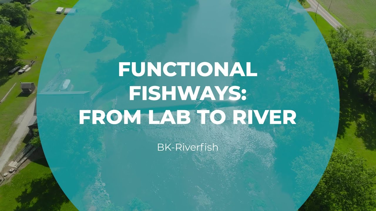 Functional Fishways: From Lab to River | BK-Riverfish | Tomorrow's ...
