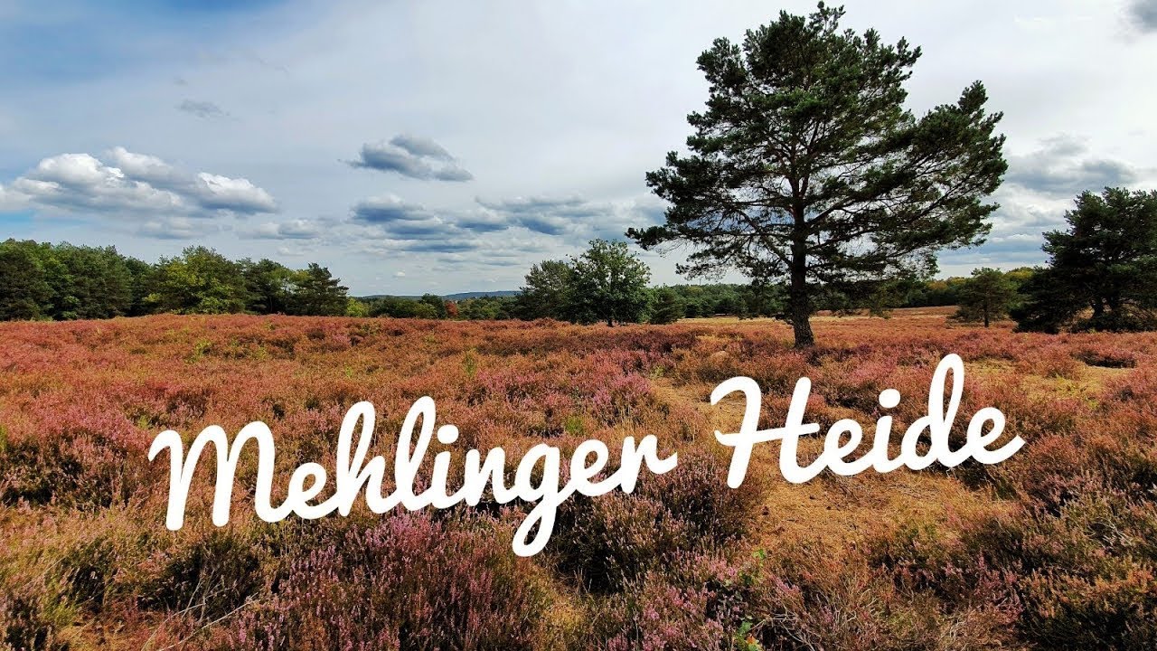 Mehlinger Heide - YouTube
