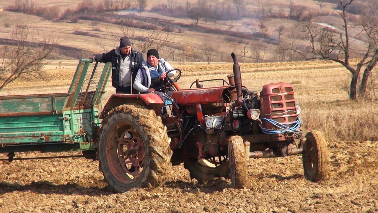 Tractor de epocă UTB 650(următorul după UTOS ) la lucru pe dealurile ...