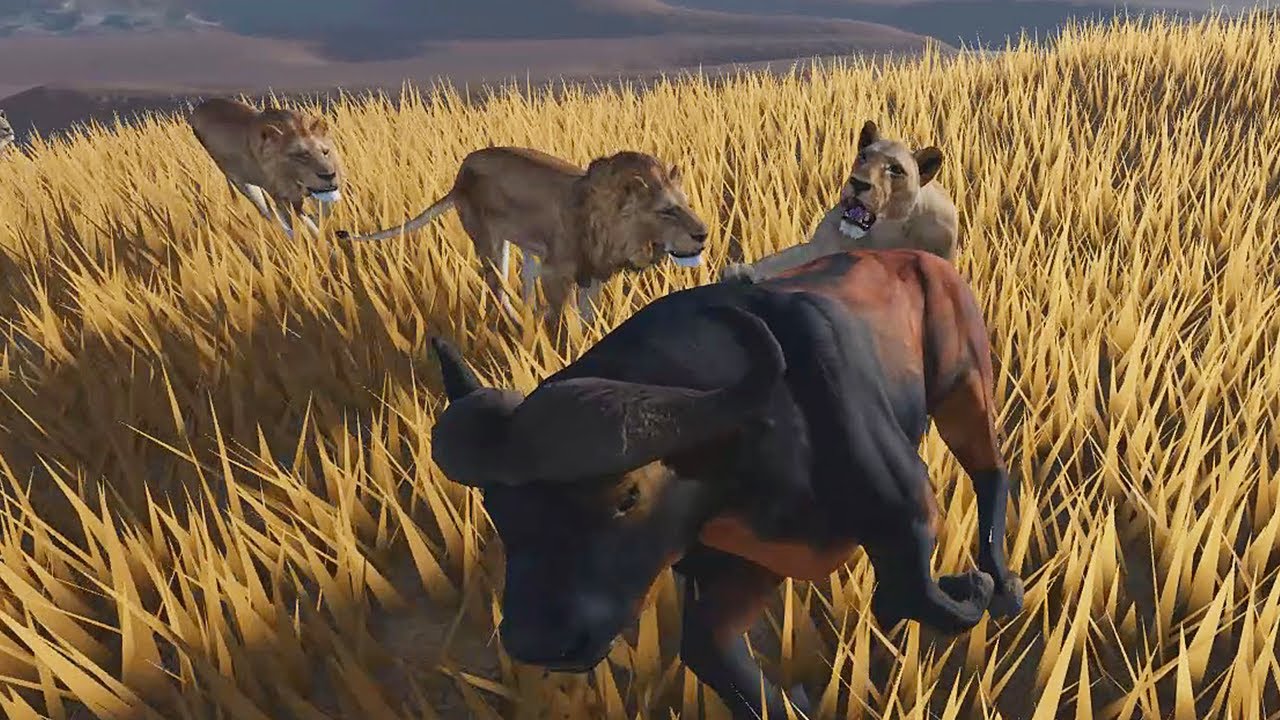 Lion Pride taking down solo African Buffalo | ROBLOX Mosaic Survival ...