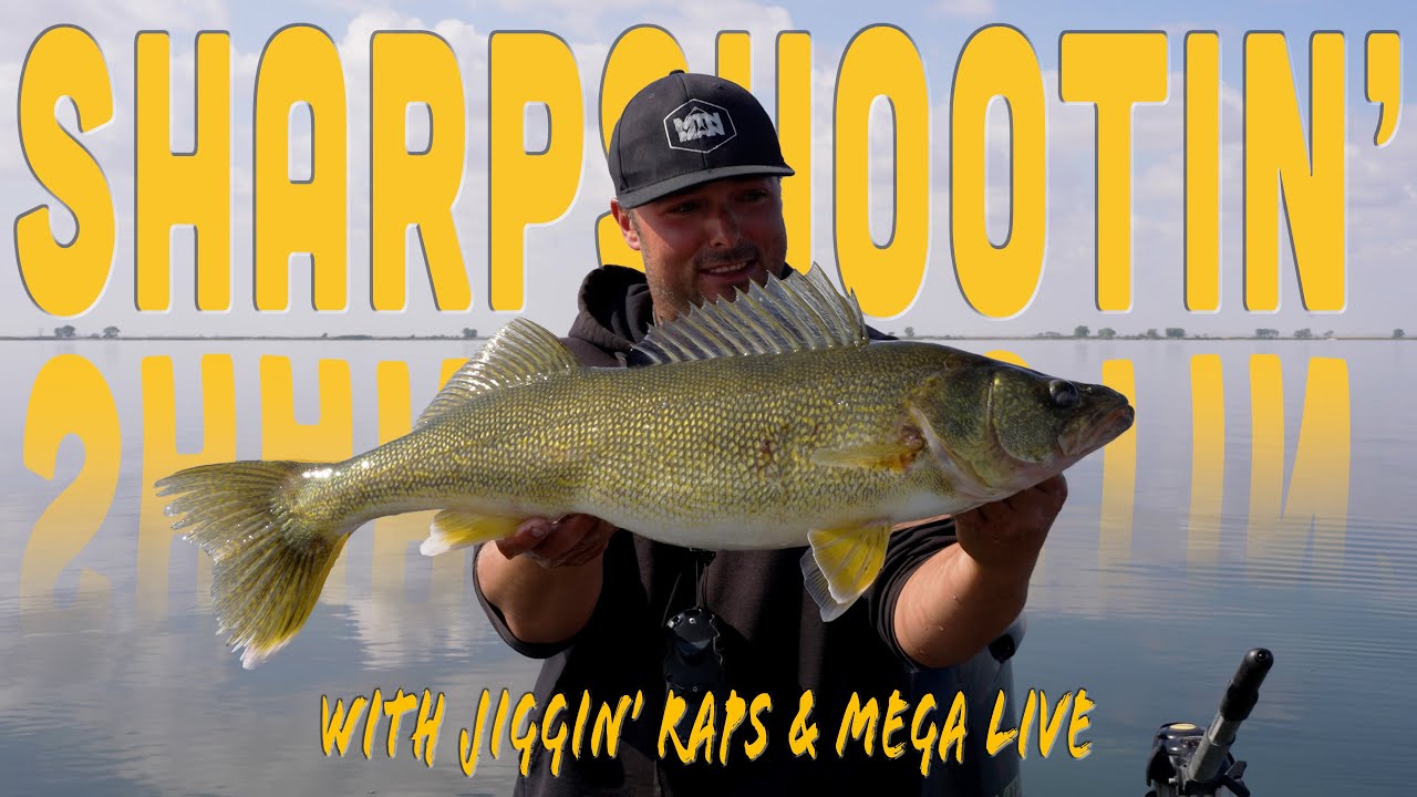 Sharpshootin' Fall Walleye with Jigging Raps & Mega Live - YouTube