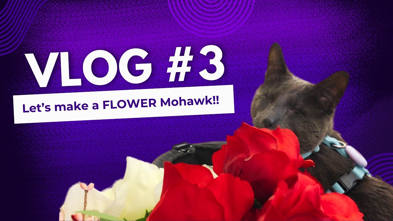 Vlog #3 We make a flower mohawk!!! - YouTube