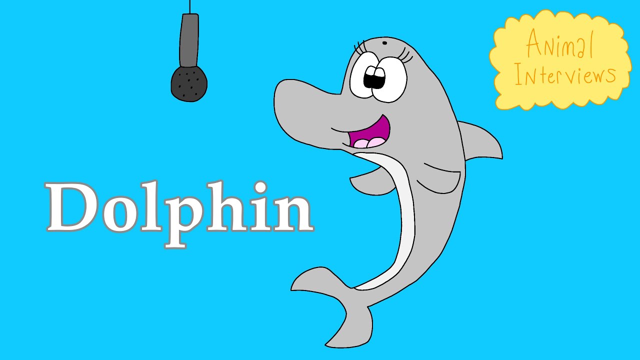 Animal Interviews: Dolphin - YouTube