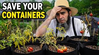 My Container Garden FAILED! 4 Dumb Mistakes I’ll Never Make Again