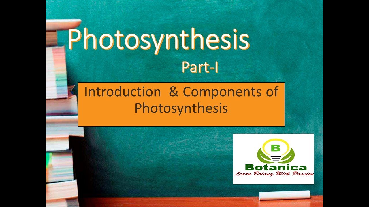 Photosynthesis Part I Introduction Components Of Photosynthesis photosynthesis-part-i-introduction-components-of-photosynthesis