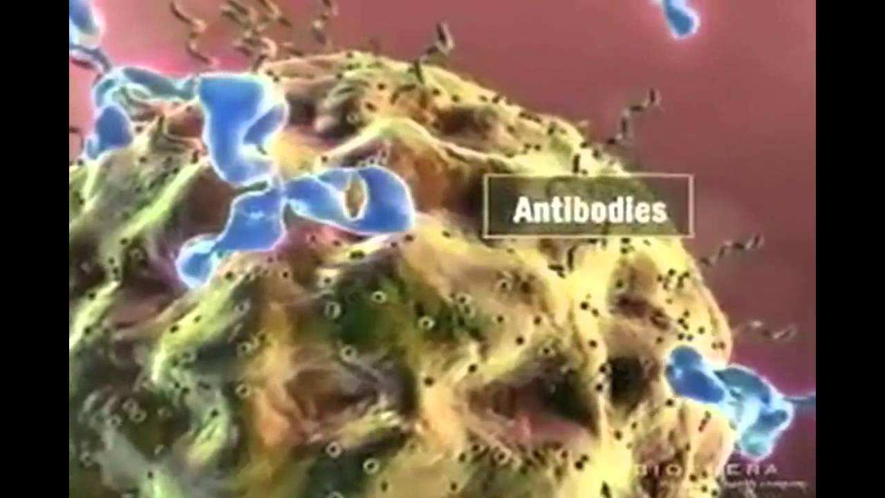 GLOBAL FUXION: WELLMUNE WGP® - YouTube