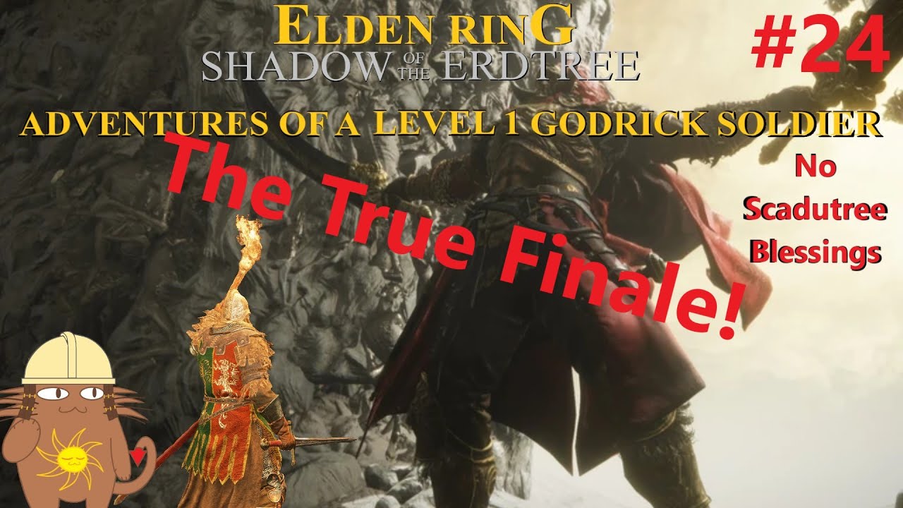 Rune Level 1 No Scadutree Blessing Godrick Soldier Cosplay! (PC)Elden ...