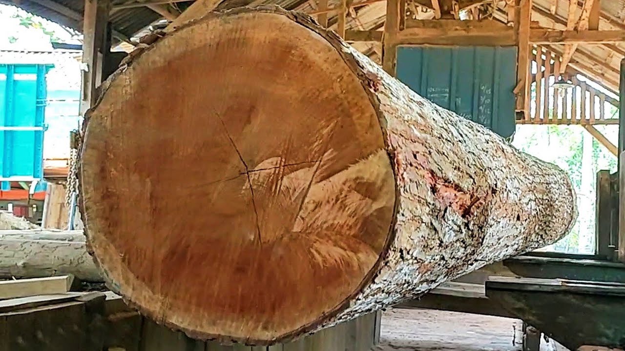 surprising discovery of a log full of fine fibers at the sawmill - YouTube