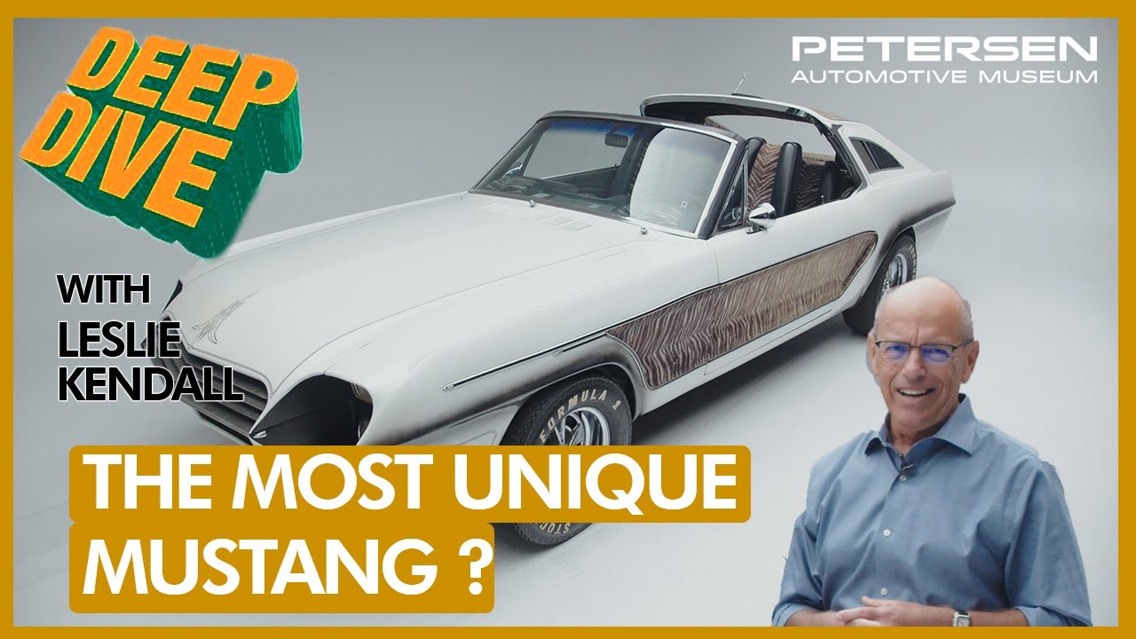 Custom 1965 "ZEBRA MUSTANG" Coupe | Deep Dive - YouTube