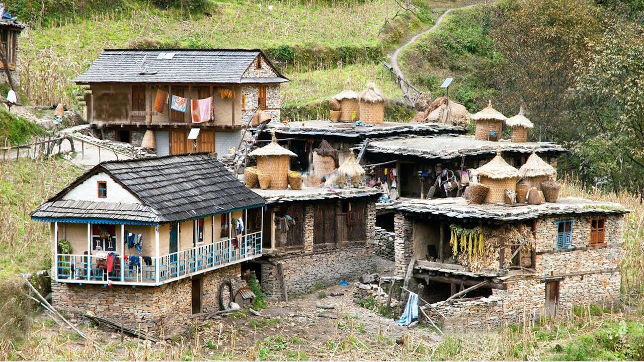 Natural Organic Live In Village | Countryside Daily Life | Traditional ...