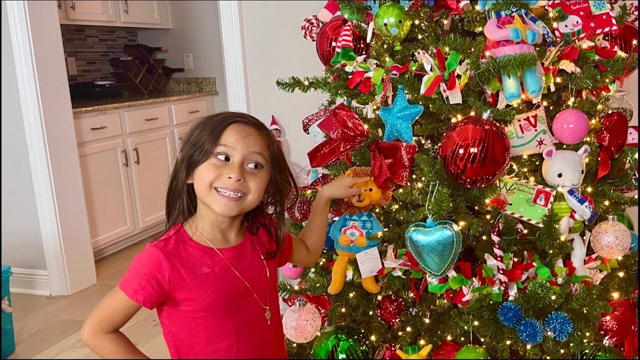 Montamos Nossa Arvore e Decoramos a Nossa Casa Para o NATAL ! Minha ...