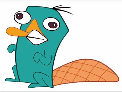 Perry's Noise - YouTube