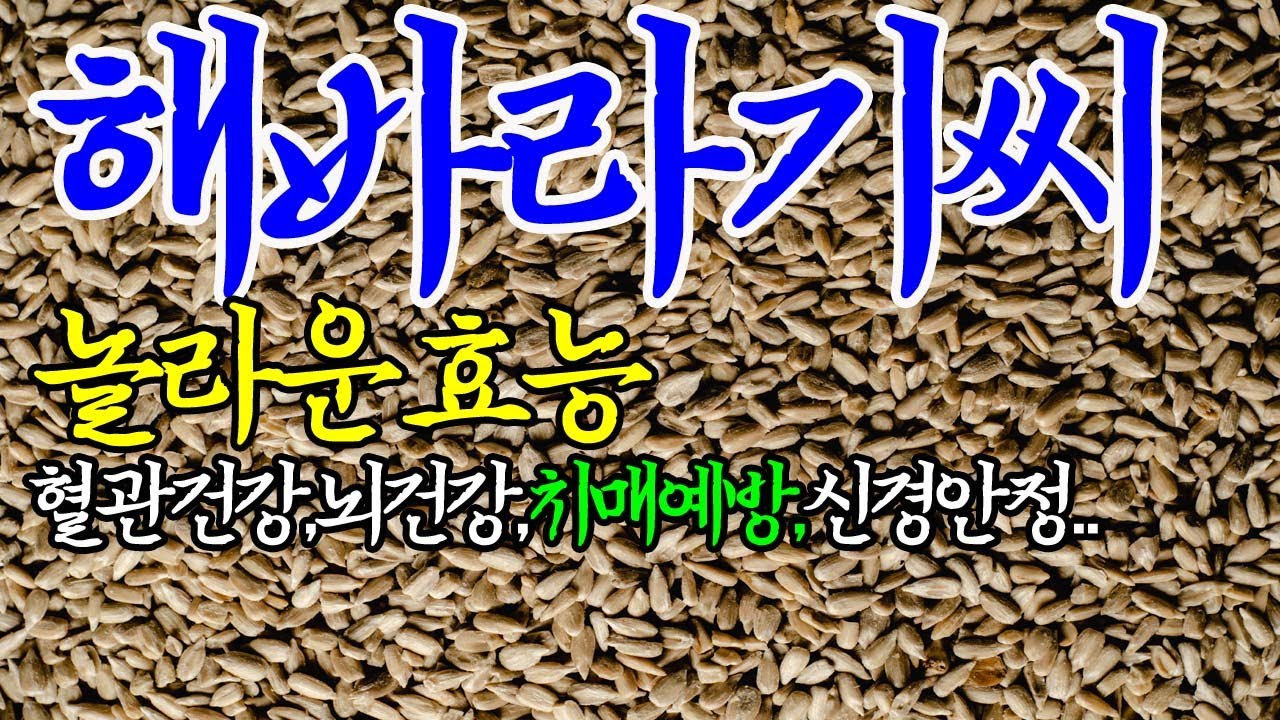 ☞해바라기씨의 엄청난 효능【혈관건강 심신안정 수족냉증개선에 좋은 해바라기씨~ 】 Youtube