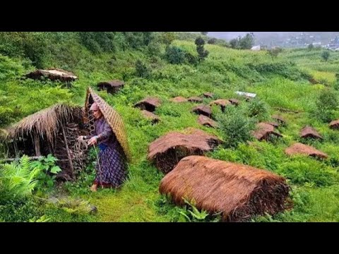 Most beautiful And peaceful himalayan village life | Dely activities in ...