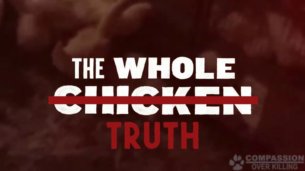 KFC: The Whole Truth - YouTube