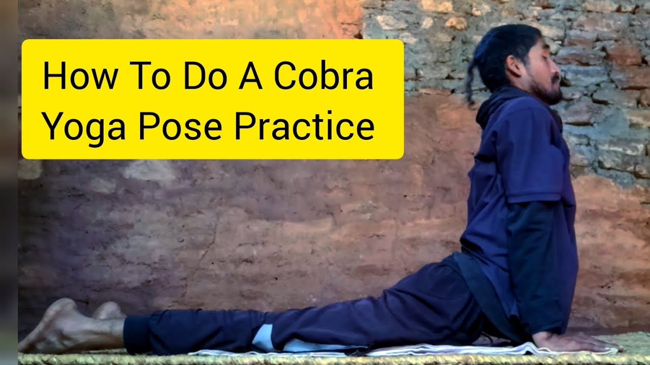 How To Do A Cobra Yoga Practice) Cobra Yoga Practice To Easy - YouTube