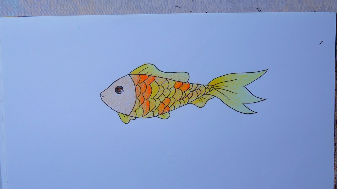 Menggambar dan mewarnai gambar Ikan||Drawing and coloring Fish. - YouTube
