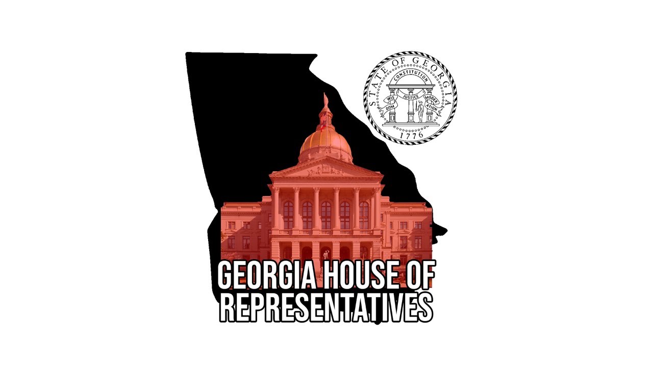 What Does the Georgia House of Representatives Do? - YouTube