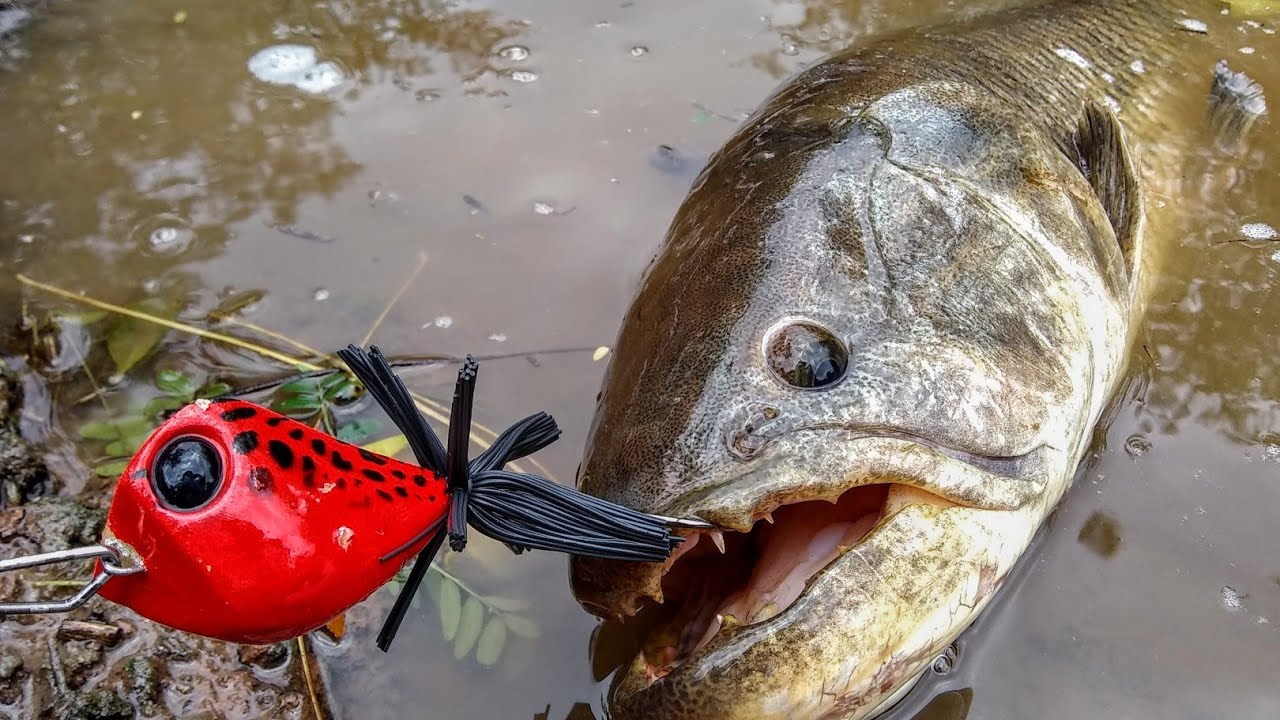 Pesca de carpa, moncholo, tararira antes y despues de una gran tormenta ...