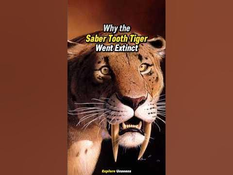 How The Saber Tooth Tiger Went Extinct #sabertoothtiger #prehistoric # ...