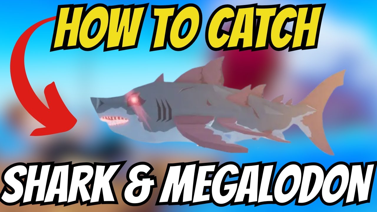 How to CATCH SHARK & MEGALODON In Fish It! [TUTORIAL] - YouTube