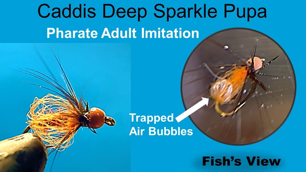 Caddis Deep Sparkle Pupa (Bead Head Variant) Fly Pattern - Adult Pharate Imitation - YouTube