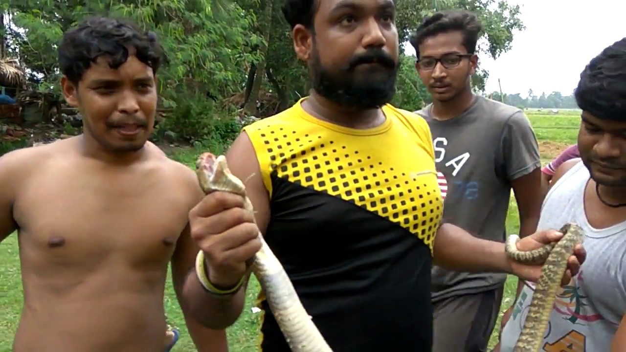 big snake catching prantikpally,snake catching by man - YouTube