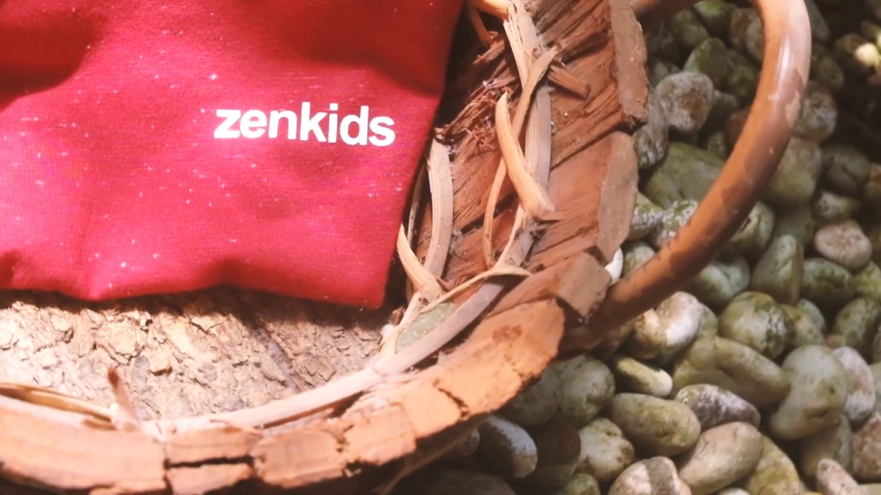 Zenkids Teaser - YouTube