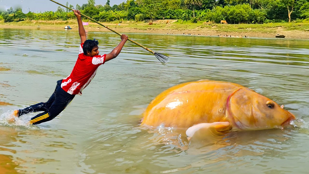Unique Fishing With Bamboo Teta/Kotch Fishing in River #fishing #fish ...
