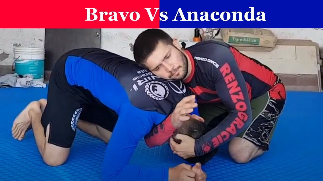 Cuál es la diferencia entre Bravo y Anaconda de jiu jitsu brasileño ...