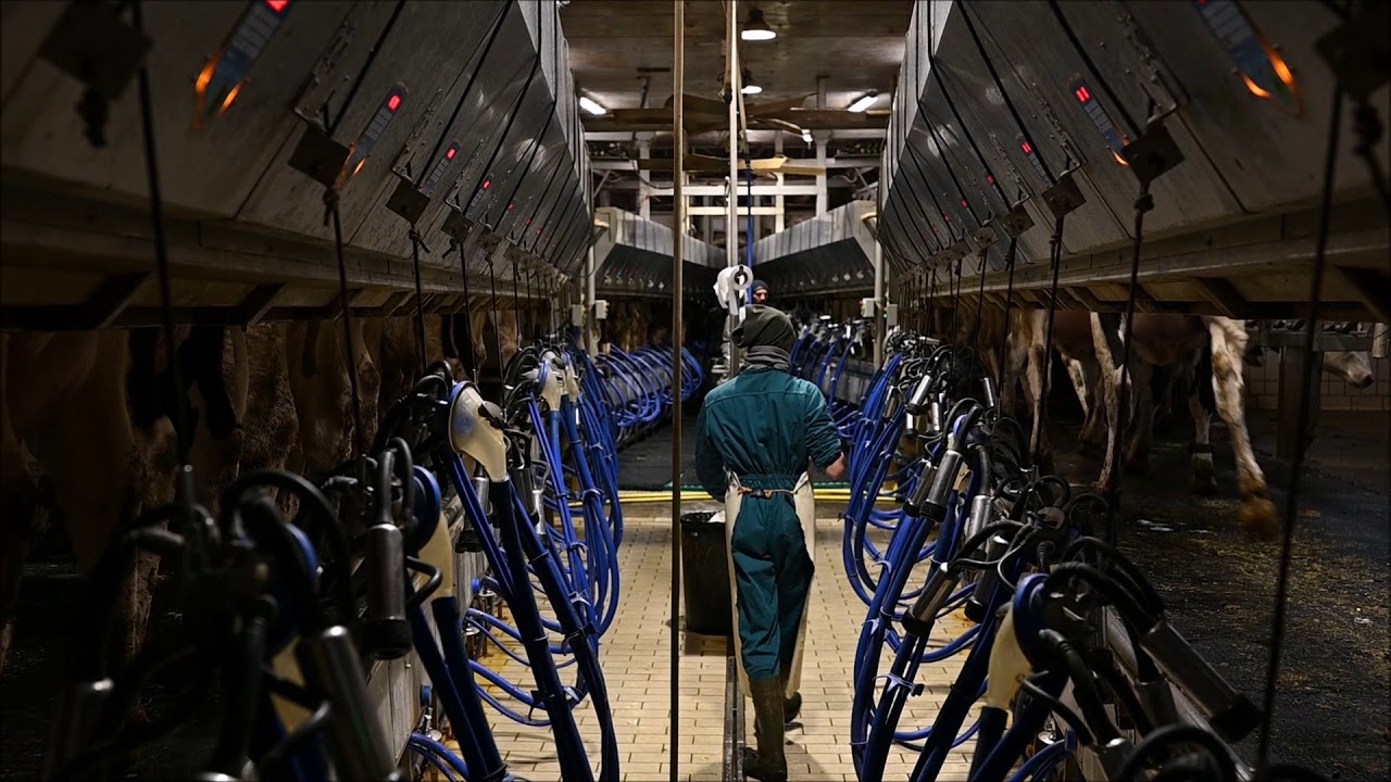 Maccarese SpA Azienda Agricola - YouTube