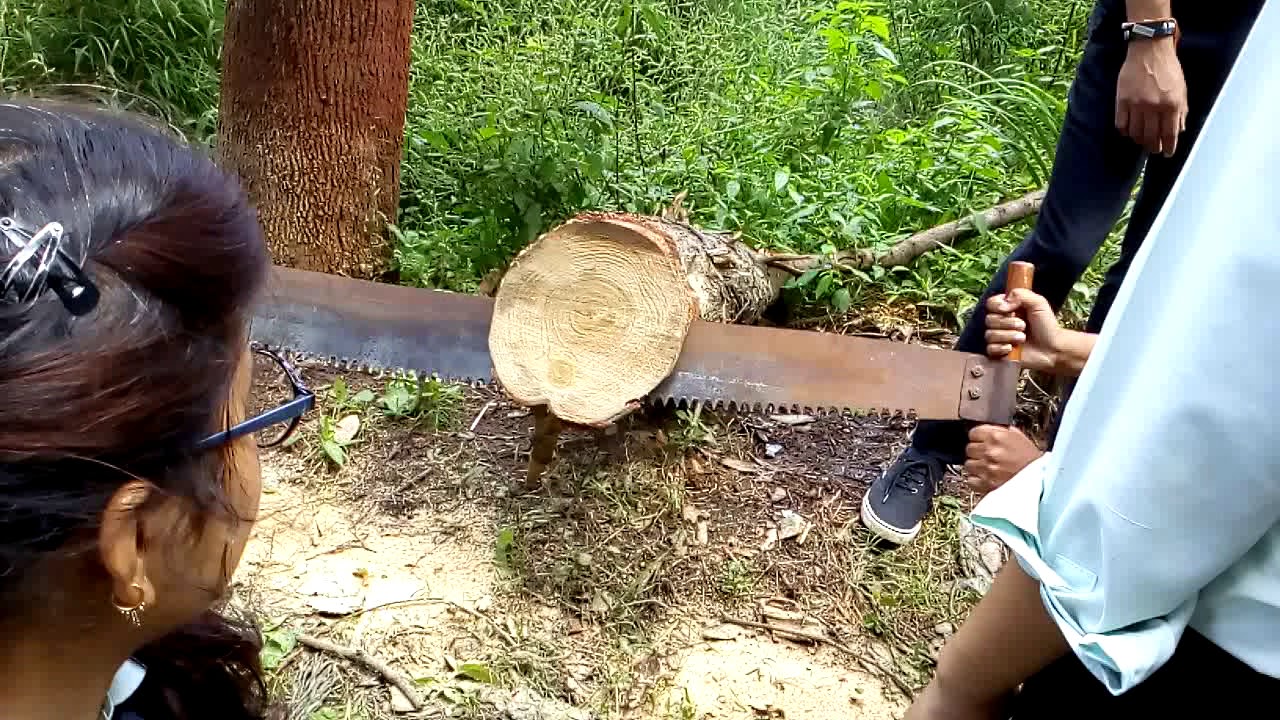 Logging practices - YouTube