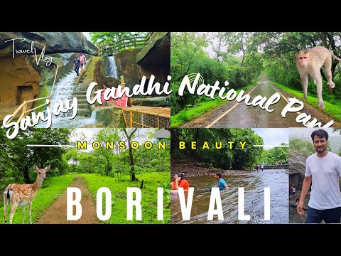 😍 Best Places in SGNP | Monsoon Cycling in Lush Green Forest | Kanheri ...