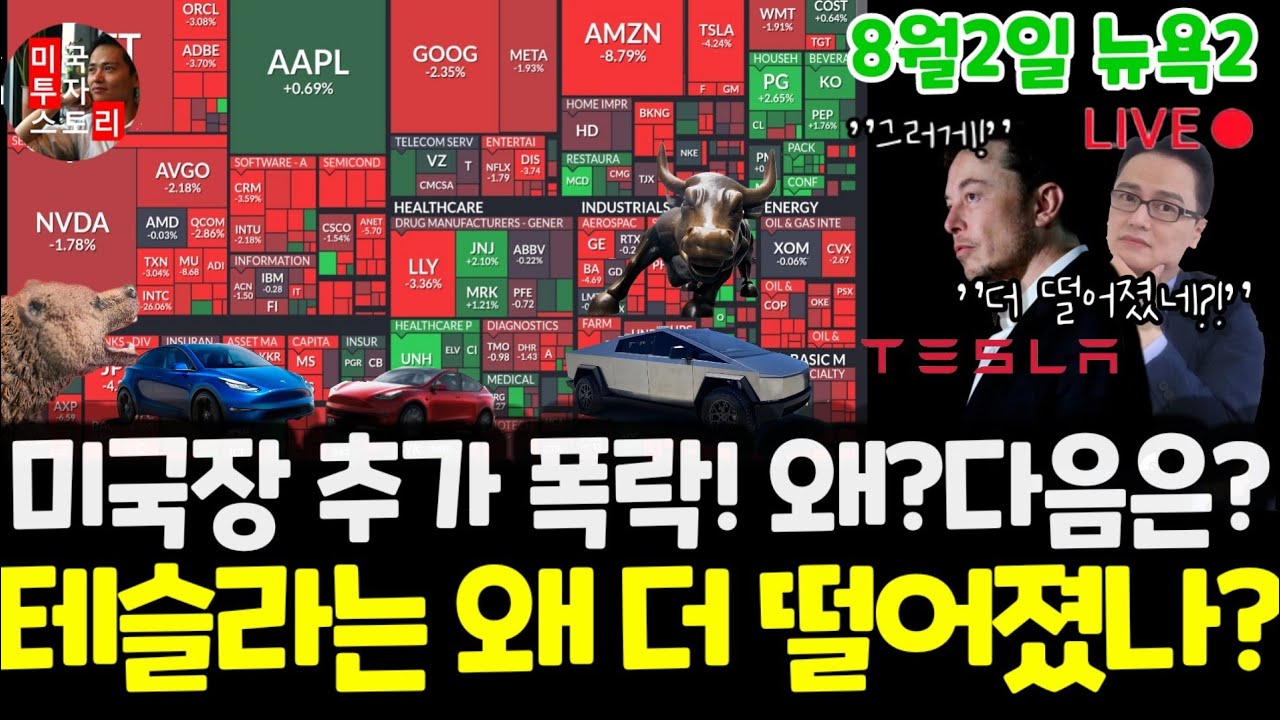 미국주식시황오늘 왜 더 떨어졌나 테슬라 엔비디아는 왜 더 떨어졌나구글 애플 아마존 메타 마이크로소프트 팔란티어 아이온큐