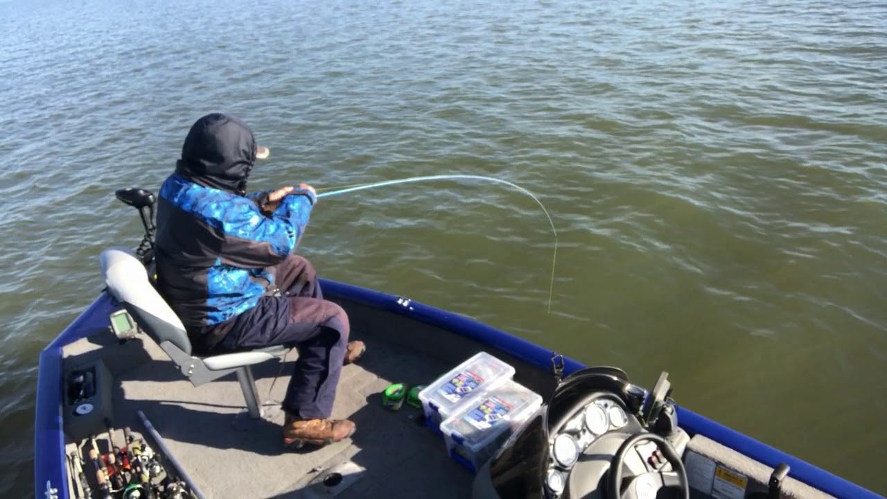 Fishing Low Water Conditions & An Encounter With Looney - YouTube