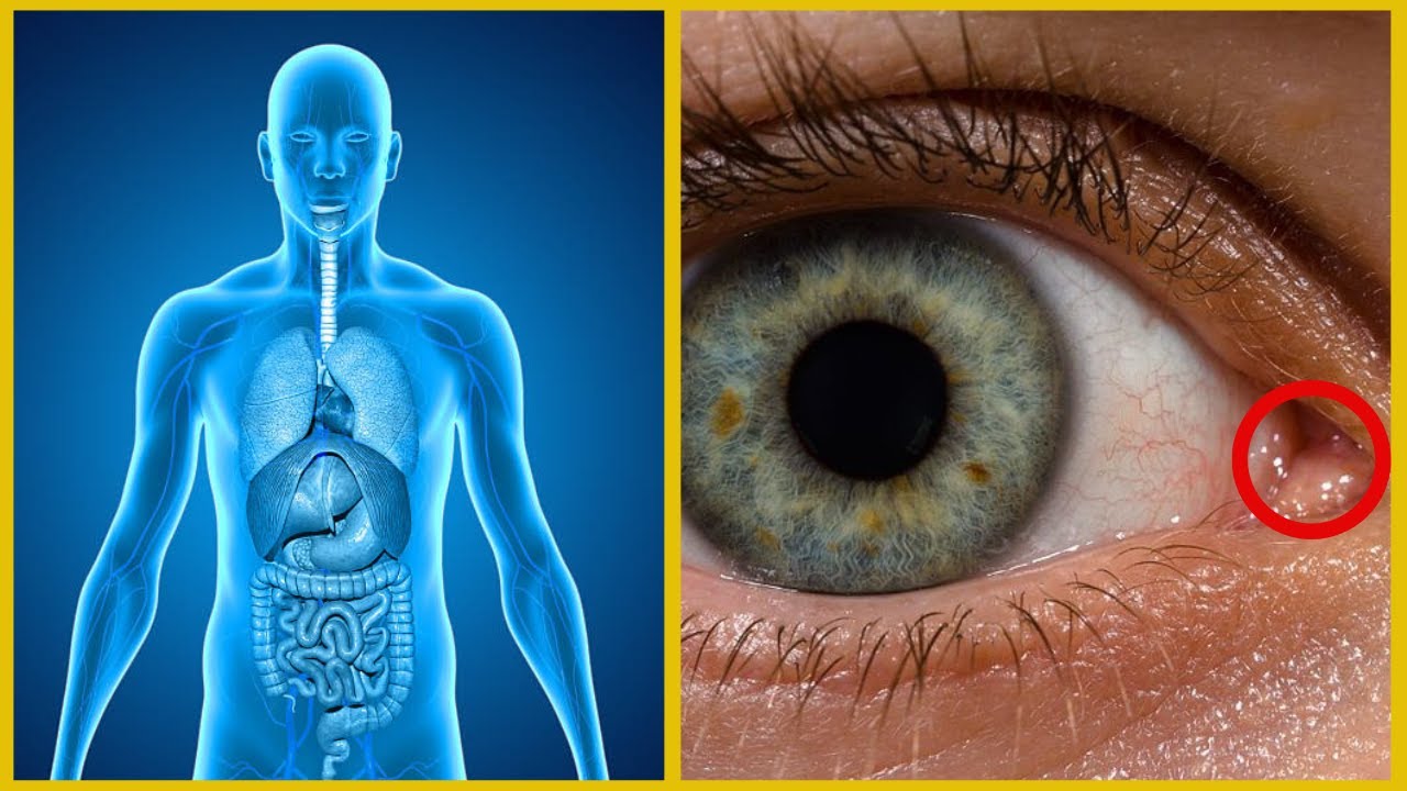 Uncovering the Most Dangerous Organs of the Human Body - #5 Will Shock ...