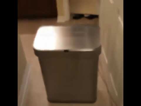 Trash Can Meme - YouTube