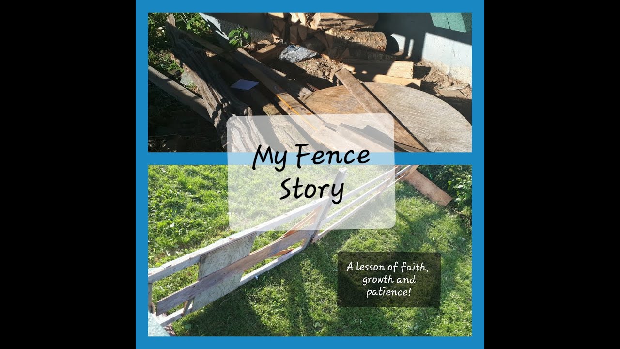 The Fence story and An Update on My Country Living Experience! # ...