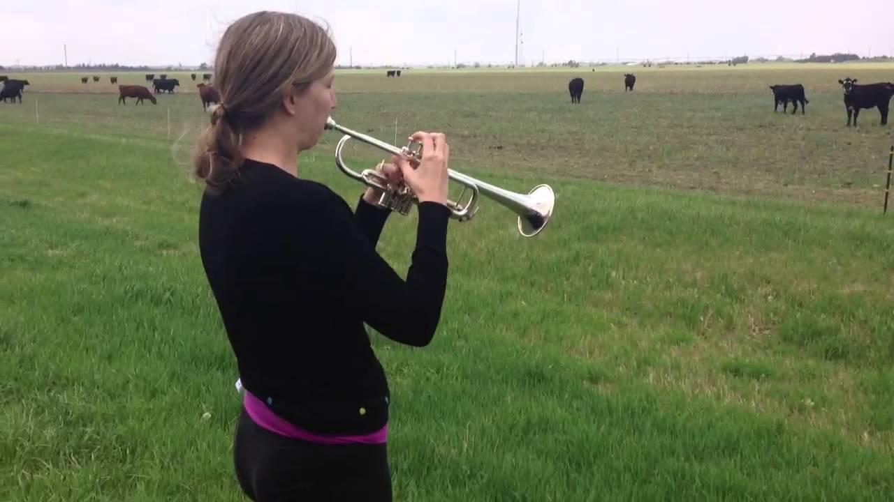 Music for cows! - YouTube