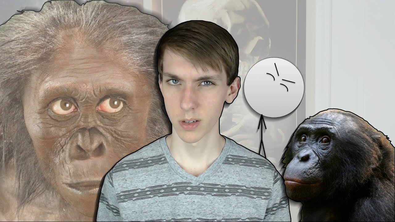 Yes, Lucy Was Transitional w/ Professor Stick (Pt. 1) - YouTube