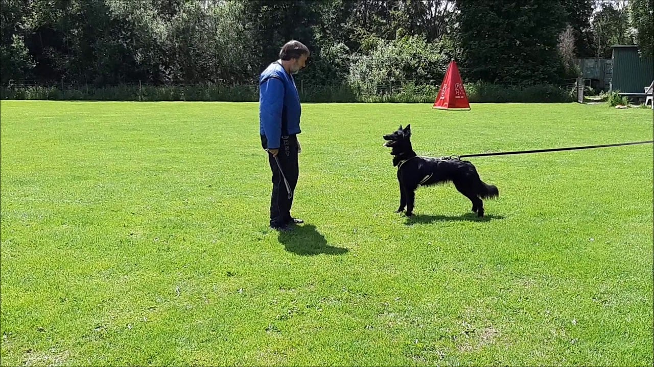 Ellis IGP training 20-06-2020 - YouTube