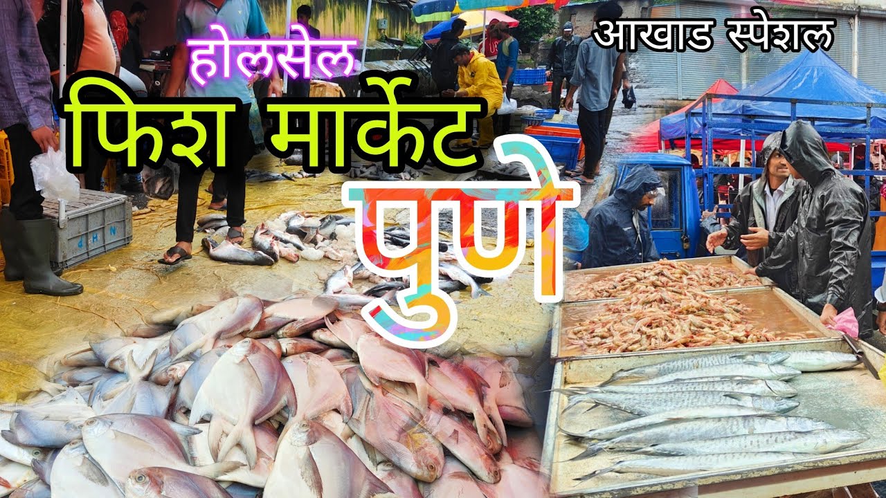 होलसेल फिश मार्केट पुणे.|Pune's Biggest fish market.| (Update 04/08 ...