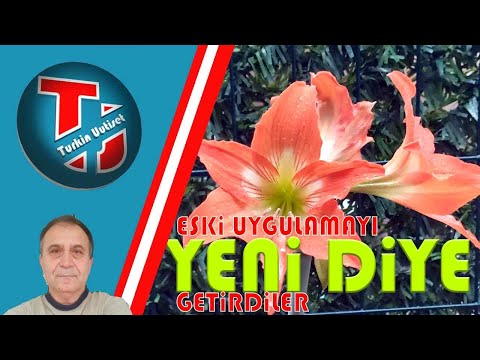 Didimde yürüyüş ve güncel konular 31.5.2025 | Turkin Uutiset ᴴᴰ