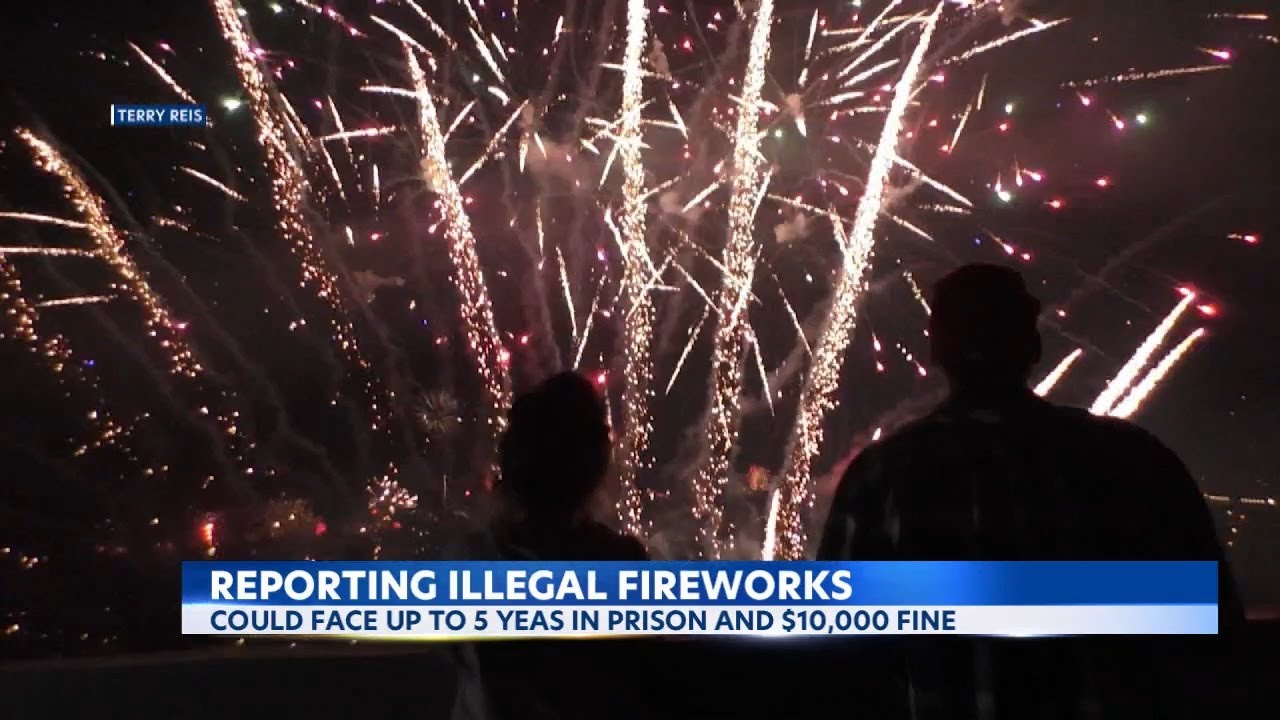 17 tons of illegal fireworks were seized from a shipping container ...